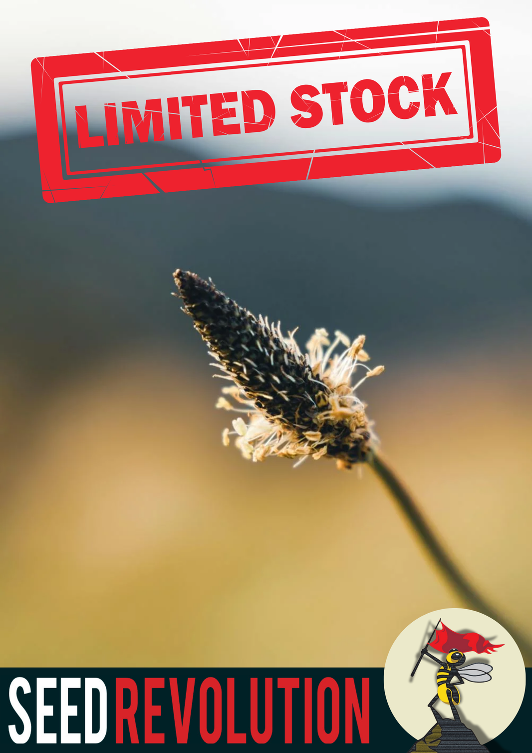 Best Sellers – Seed Revolution