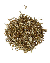 Best Sellers – Seed Revolution